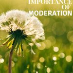 Defining Purpose and the Importance of Moderation - The Savvy Scot