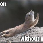 dying-chipmunk-24gn - The Savvy Scot